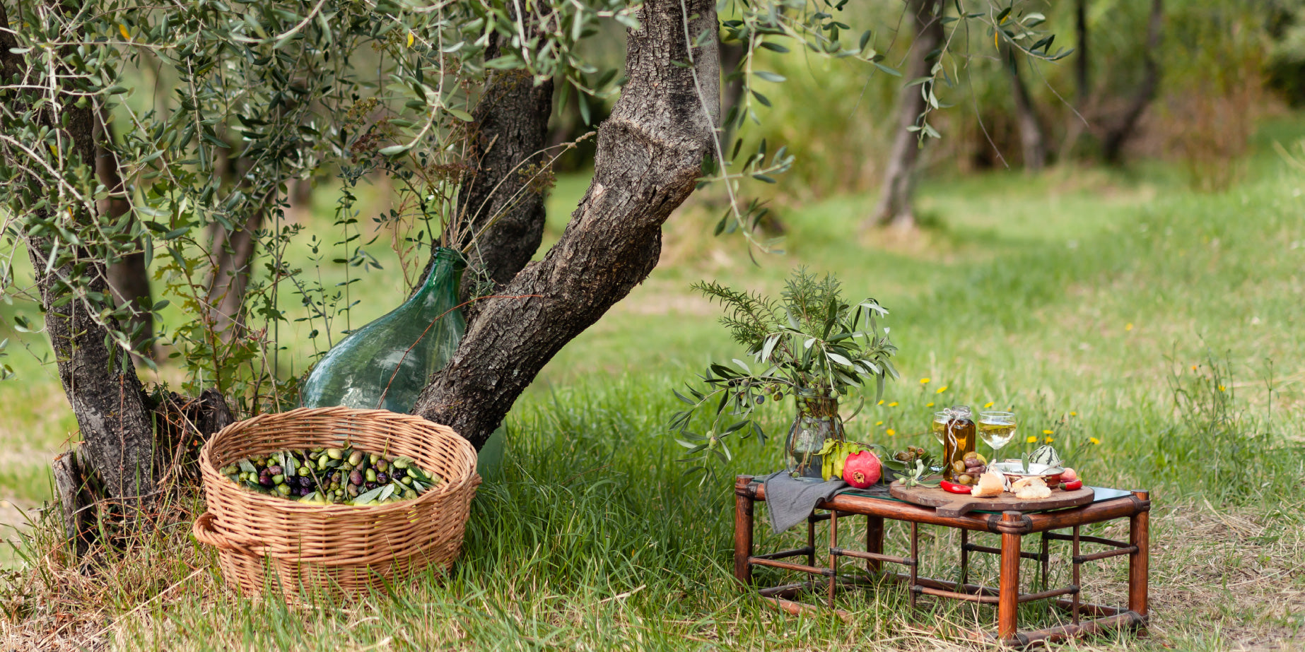 California Extra Virgin Olive Oil & More | Olive This Olive That